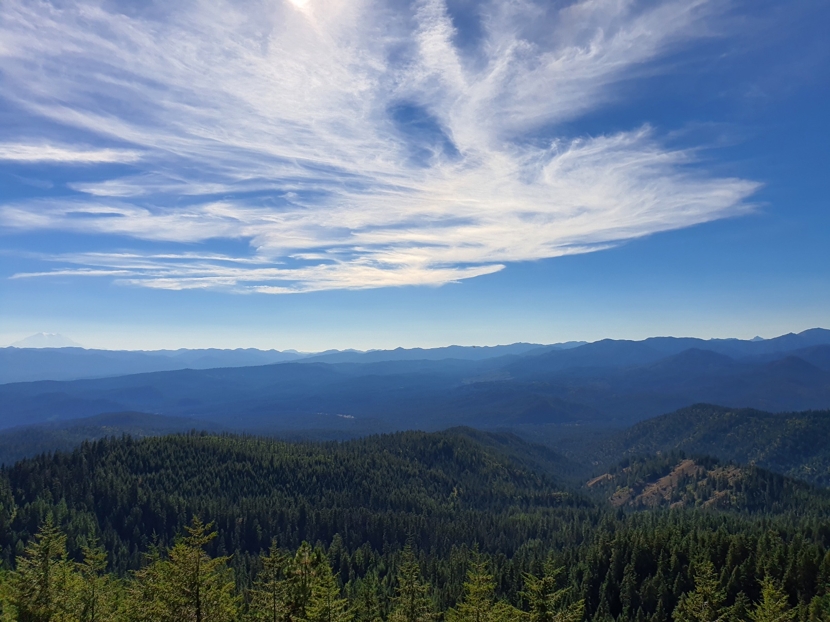 Seattle Sober Living, Encouraging Recovery, Health and Connection ...